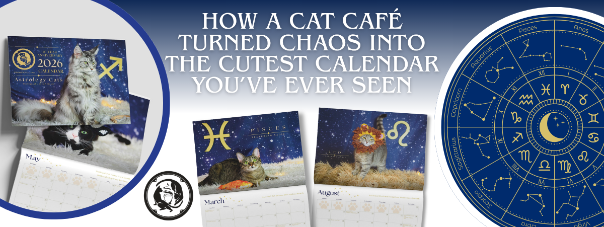 How a Cat Café Turned Chaos into the Cutest Calendar You’ve Ever Seen ...