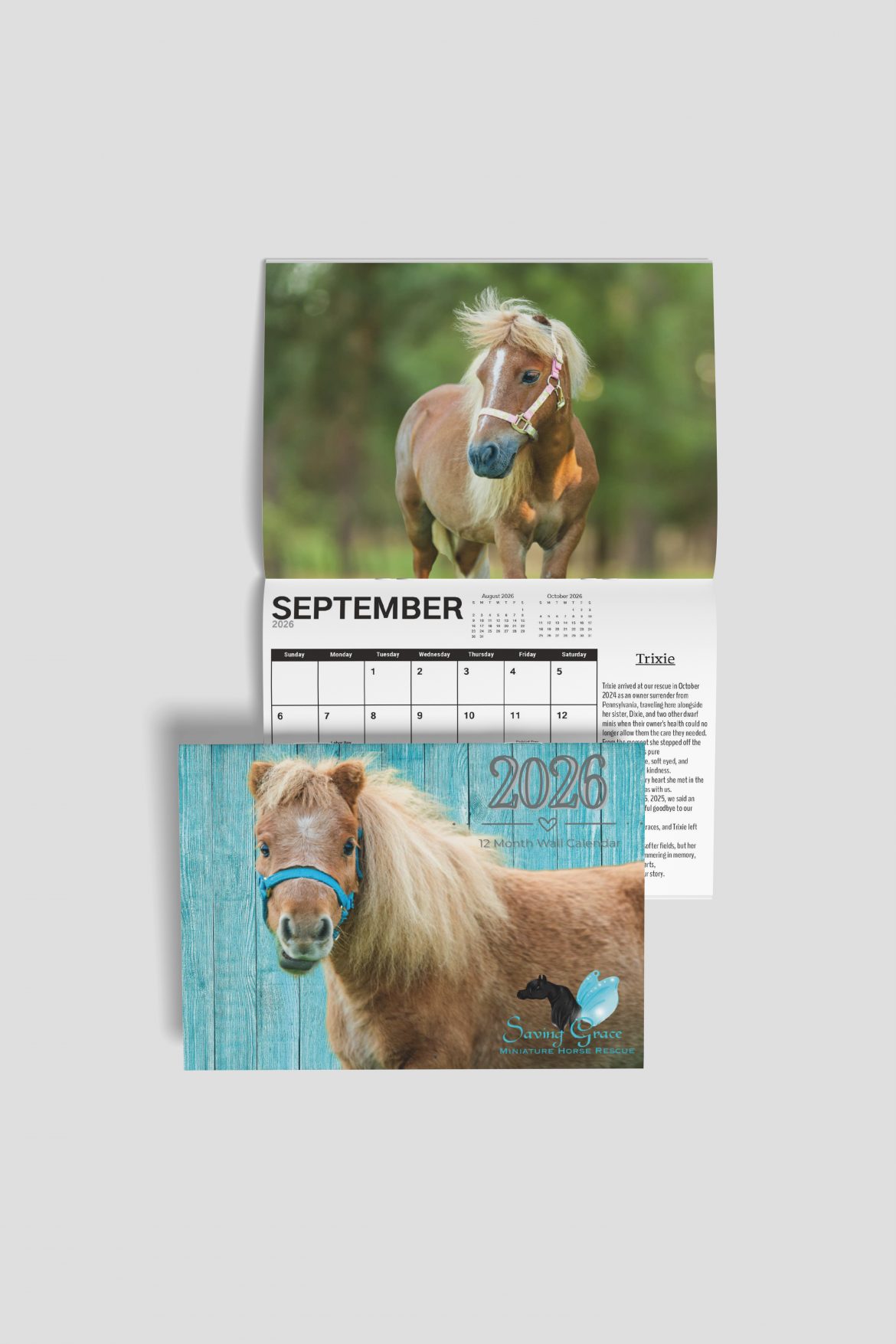 This Calendar Saves Miniature Horses All Year Long - PrintingCenterUSA