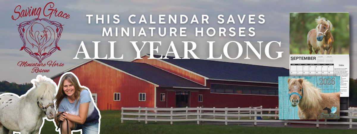 This Calendar Saves Miniature Horses All Year Long - PrintingCenterUSA